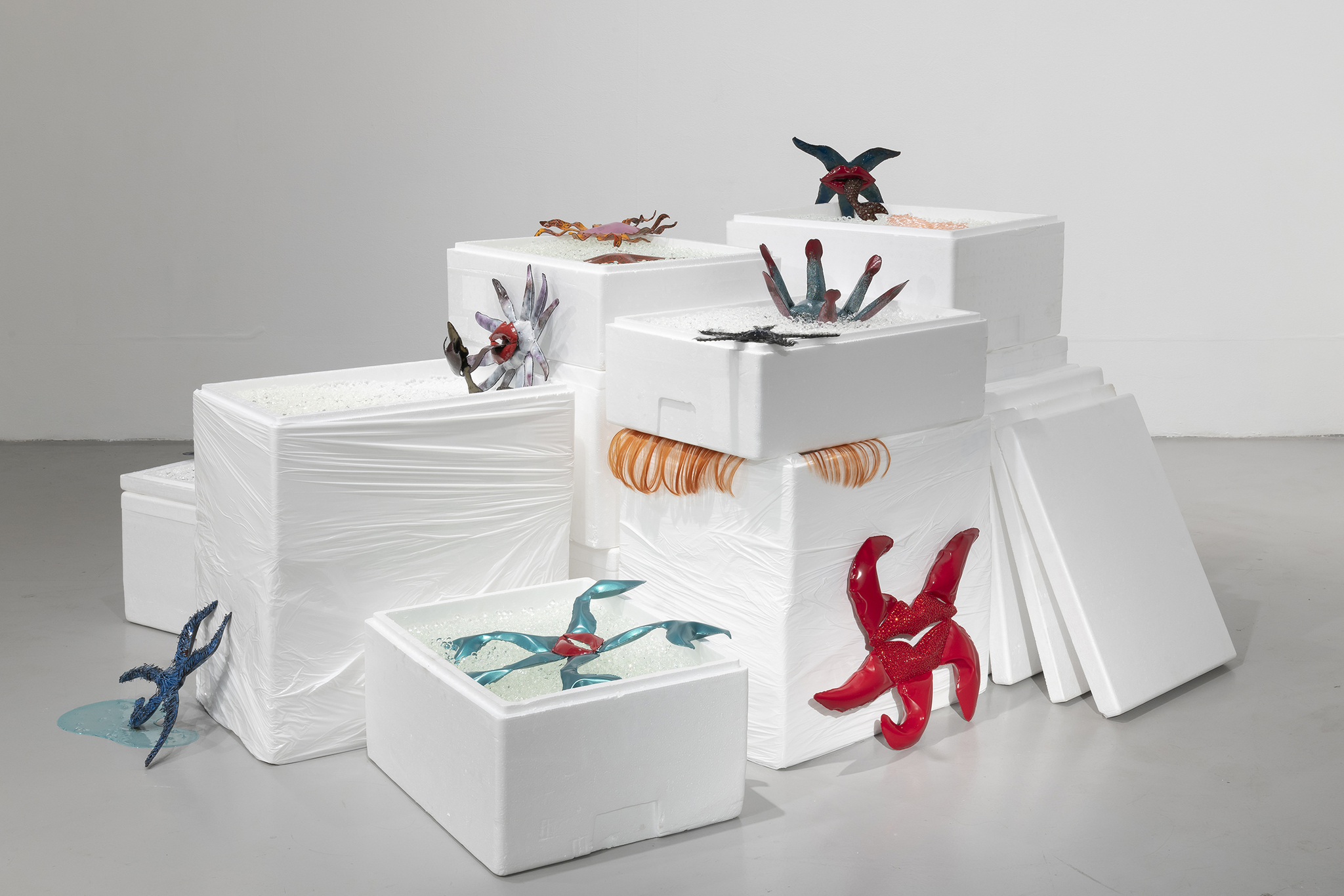 Bachelor of Fine Arts (BFA) degree programme in medium- and material ...