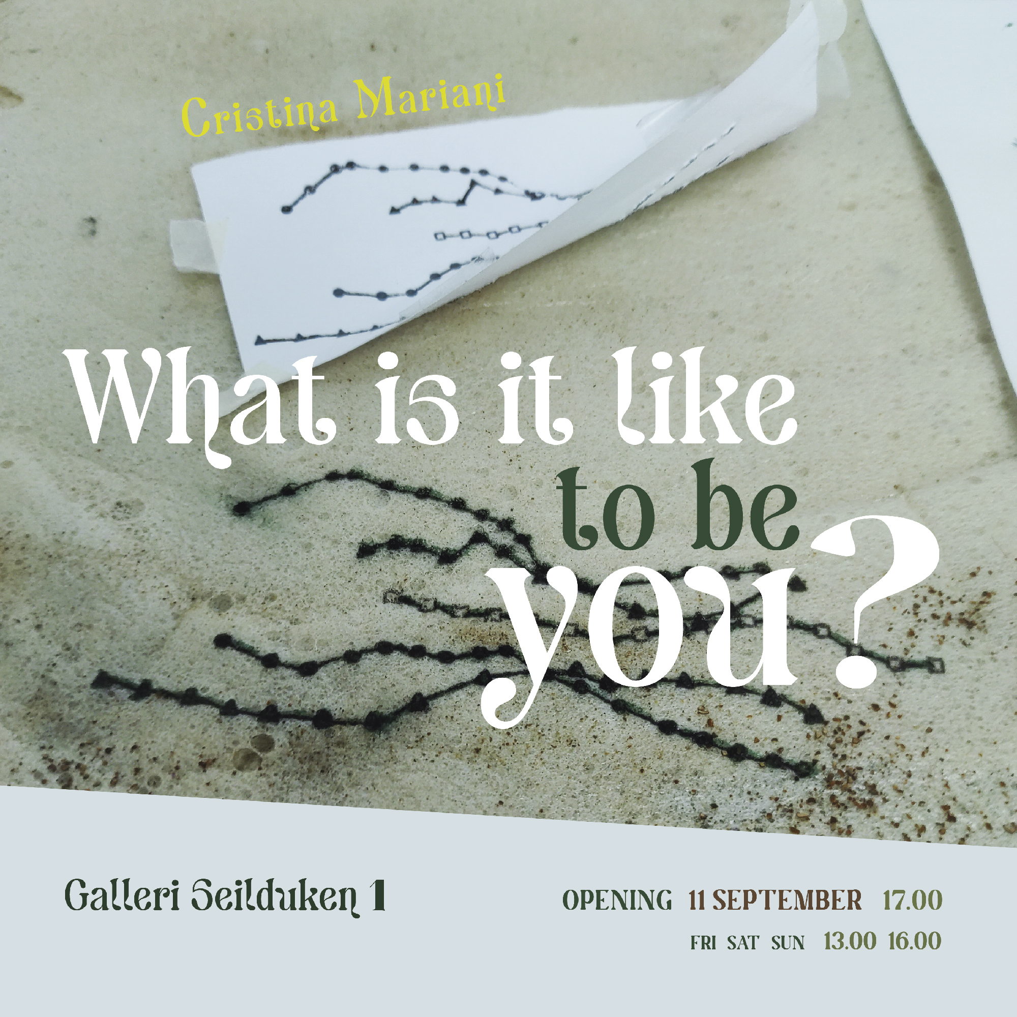What is it like to be you? - Oslo National Academy of the Arts